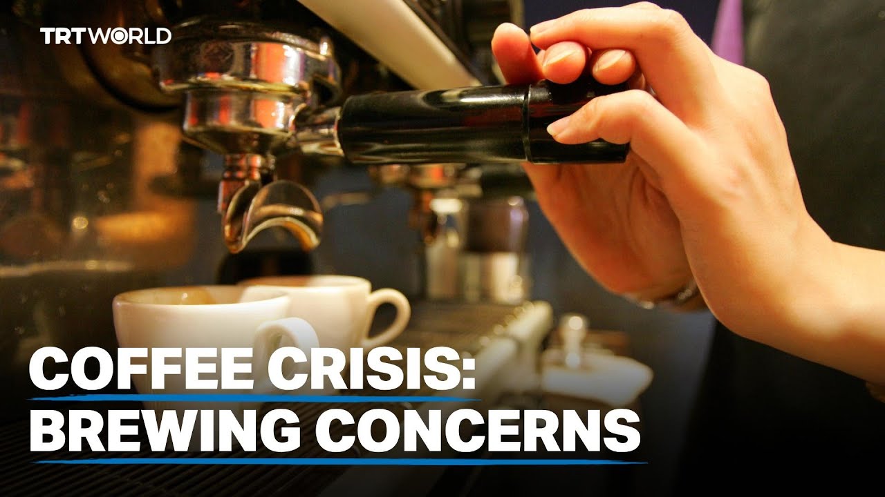 Climate change brewing a crisis for world coffee supply - World News