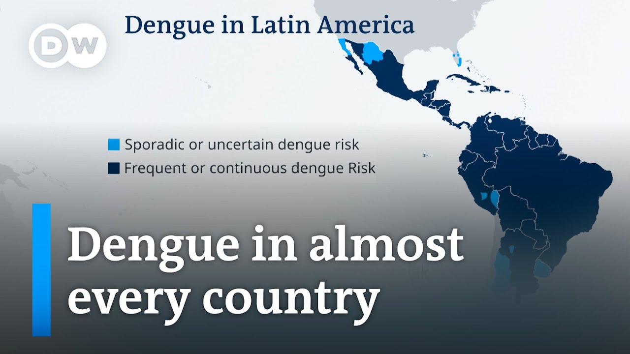 Latin America experiences worst dengue fever outbreak on record | DW ...