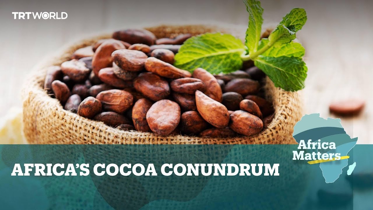 Africa Matters: Africa's Cocoa Conundrum - World News