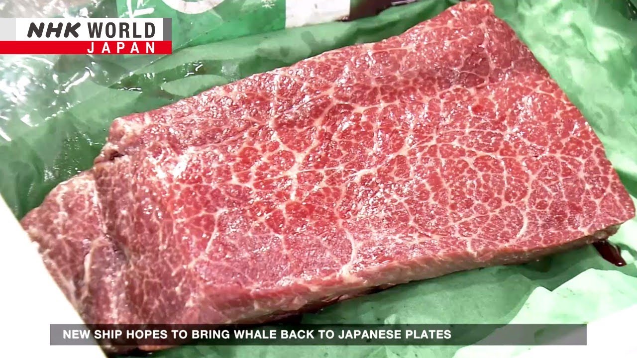 New ship hopes to put whale back on Japanese platesーNHK WORLD-JAPAN ...