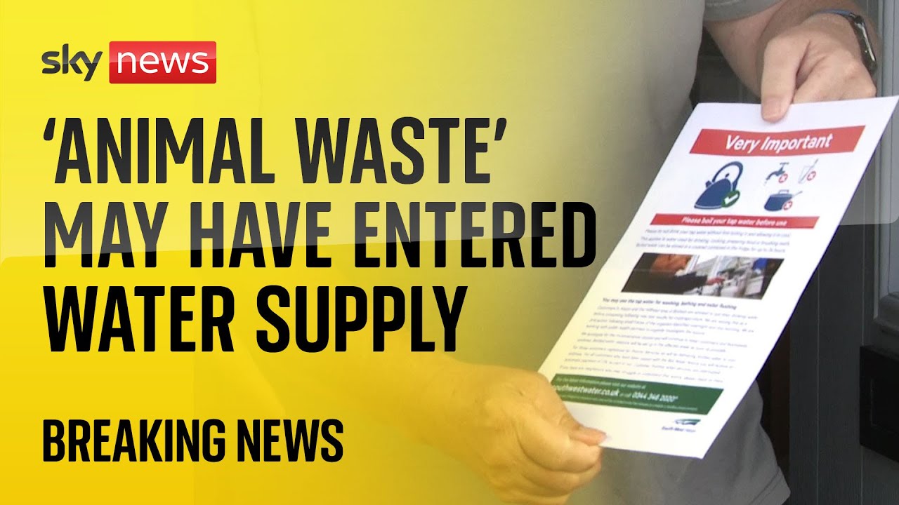 'Animal waste or contaminated groundwater' may have entered Brixham ...