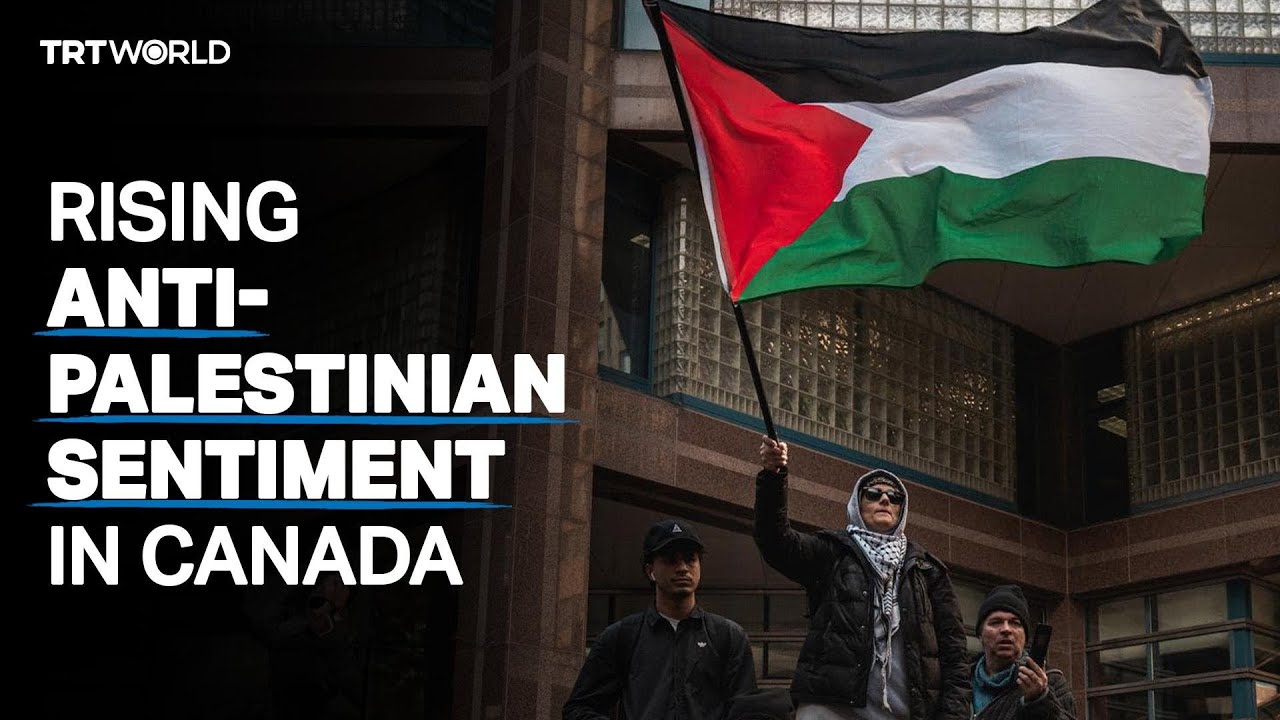 Palestinian-Canadian activist on Canada's response to Israel's war on ...