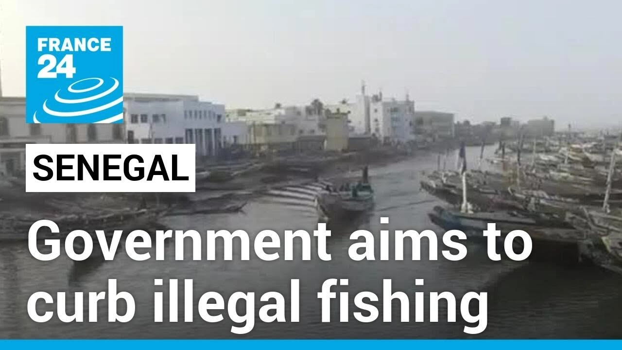 Senegal : government aims to curb illegal fishing • FRANCE 24 English ...