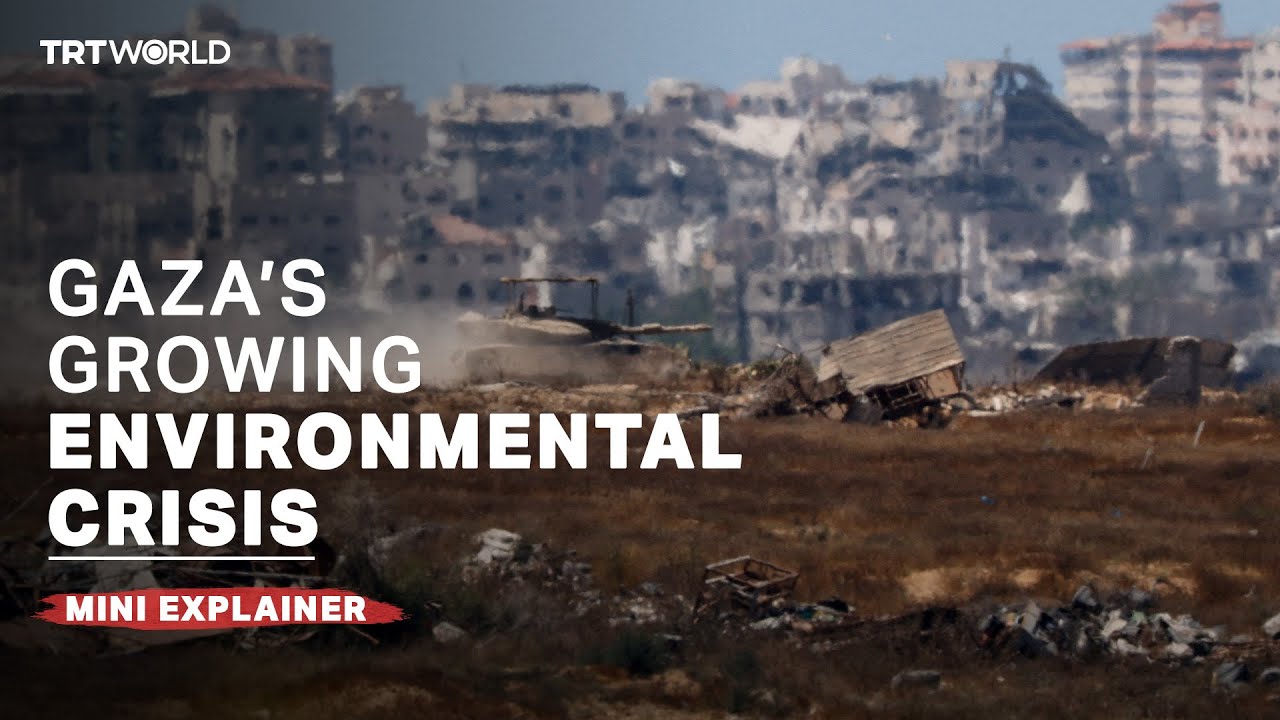 How Israel’s war on Gaza is causing an environmental crisis - World News