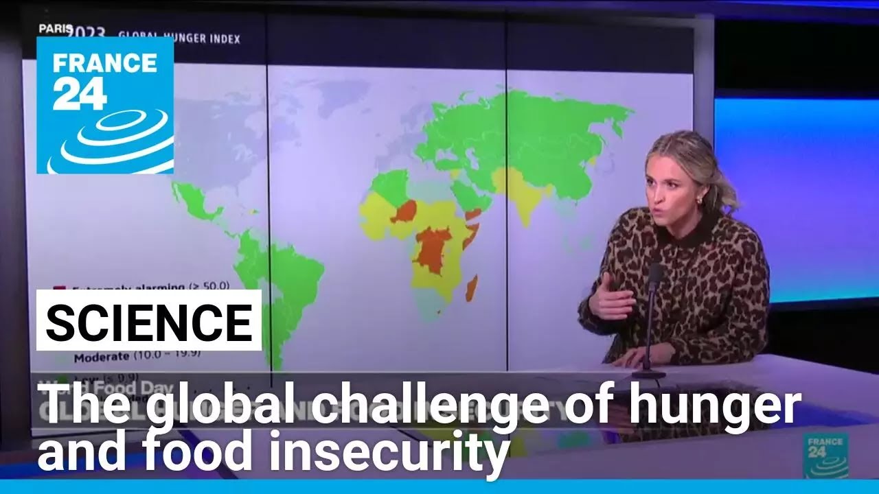 World Food Day 2024: The global challenge of hunger and food insecurity ...