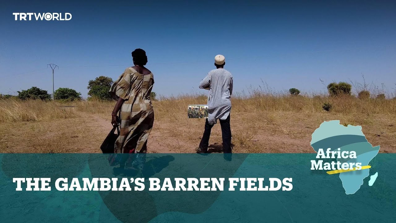 Africa Matters: The Gambia's groundnuts crack under fertiliser strain ...