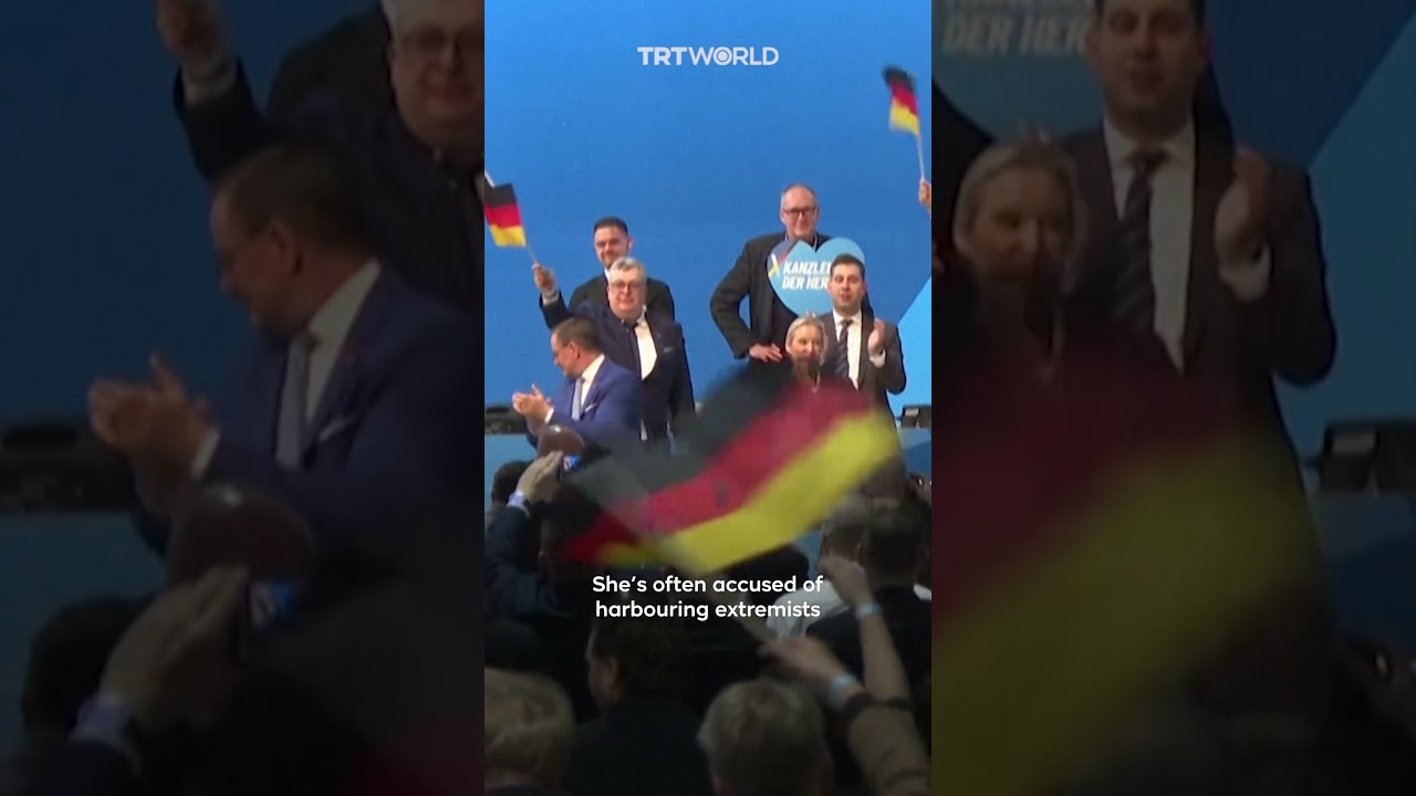 Alice Weidel: the controversial leader behind Germany’s AfD - World News
