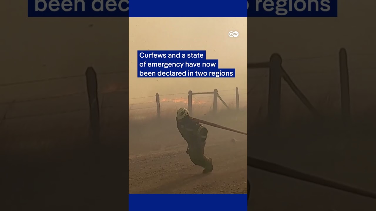 Devastating wildfires in Chile's south exacerbated by strong winds and ...