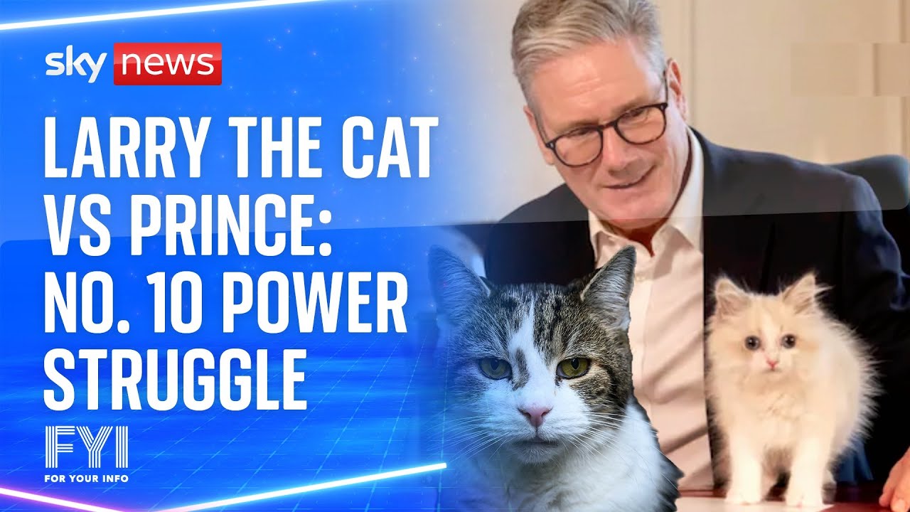 Larry the cat vs Prince: No.10 power struggle - World News