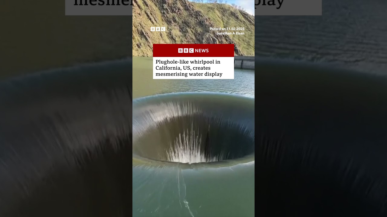 Plughole-like whirlpool in California, US, creates mesmerising water ...