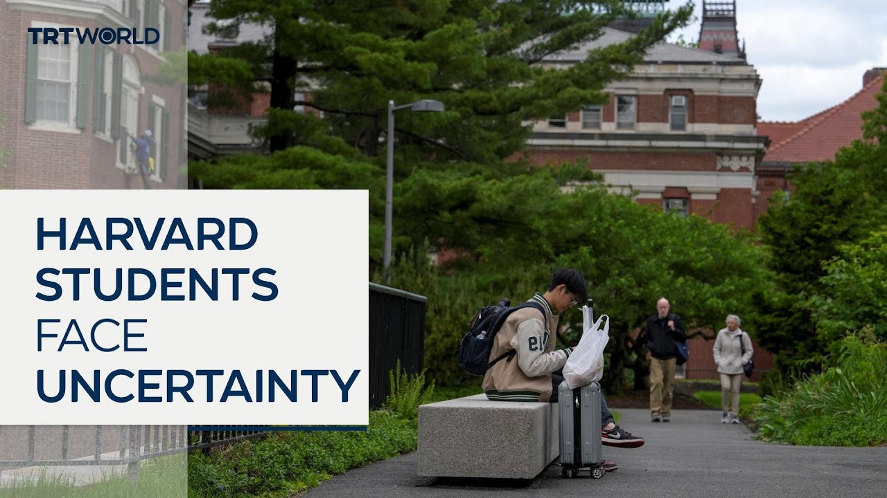 Harvard students face visa pressure from Trump - World News