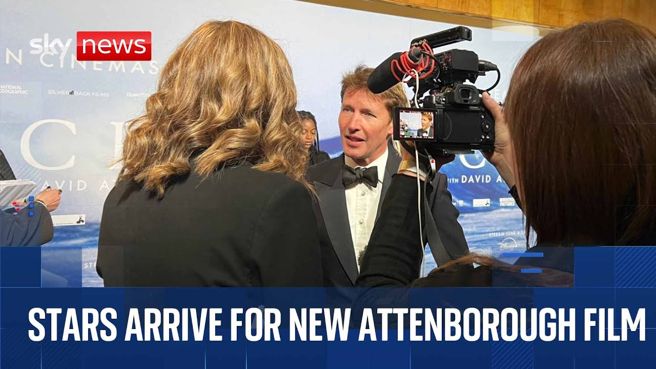 Stars arrive for world premiere of David Attenborough’s new film Ocean ...
