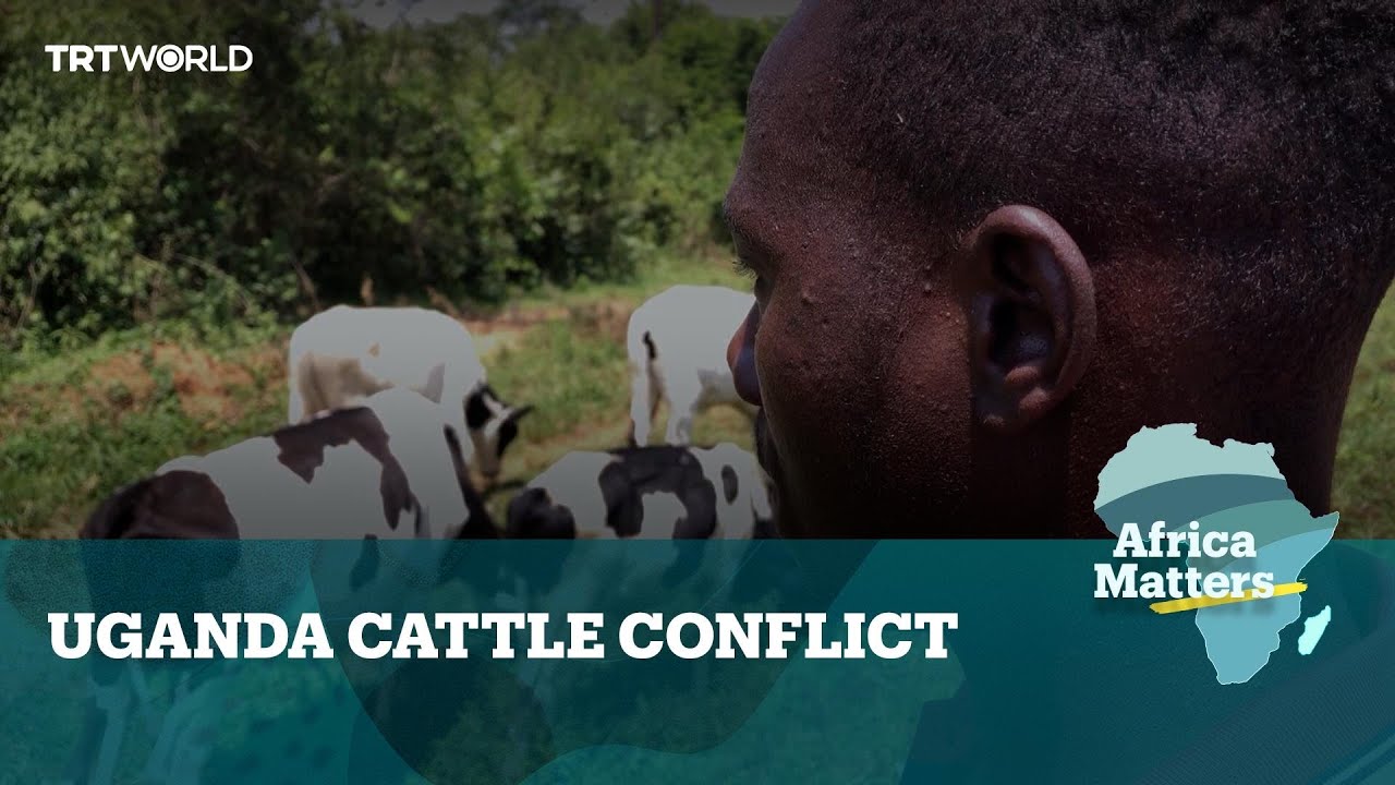 Africa Matters: Uganda cattle conflict sparks questions over land ...