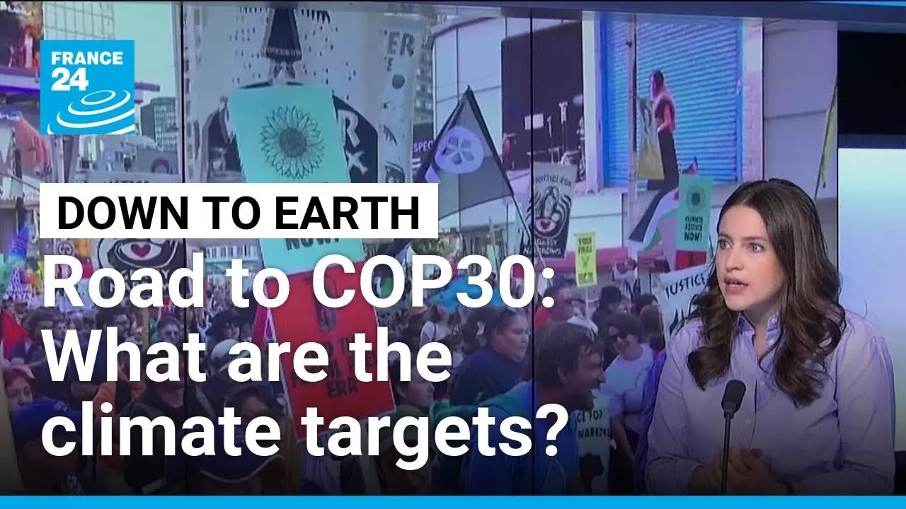 Road to COP30: What are the climate targets? • FRANCE 24 English ...