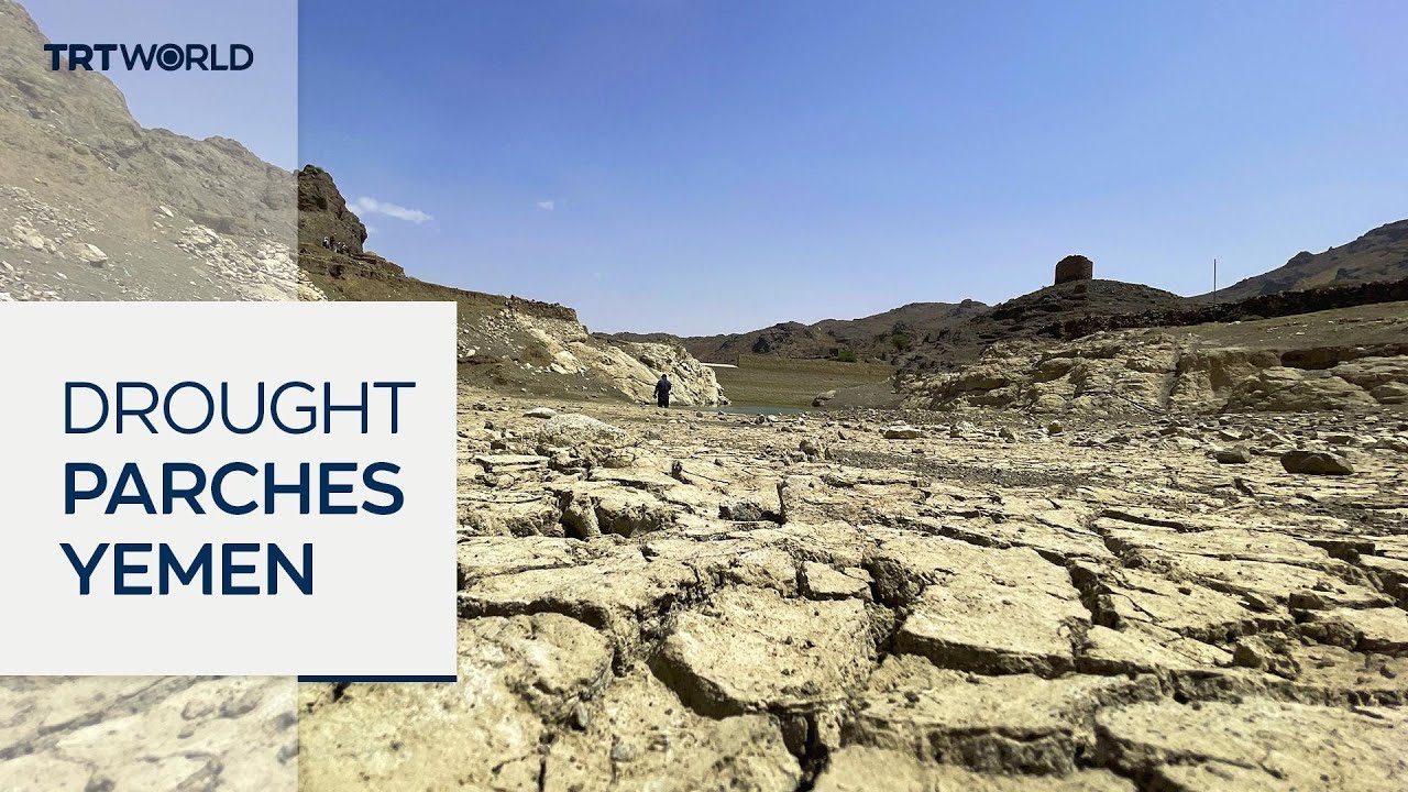 Drought turns orchards to dust in Yemen’s south - World News