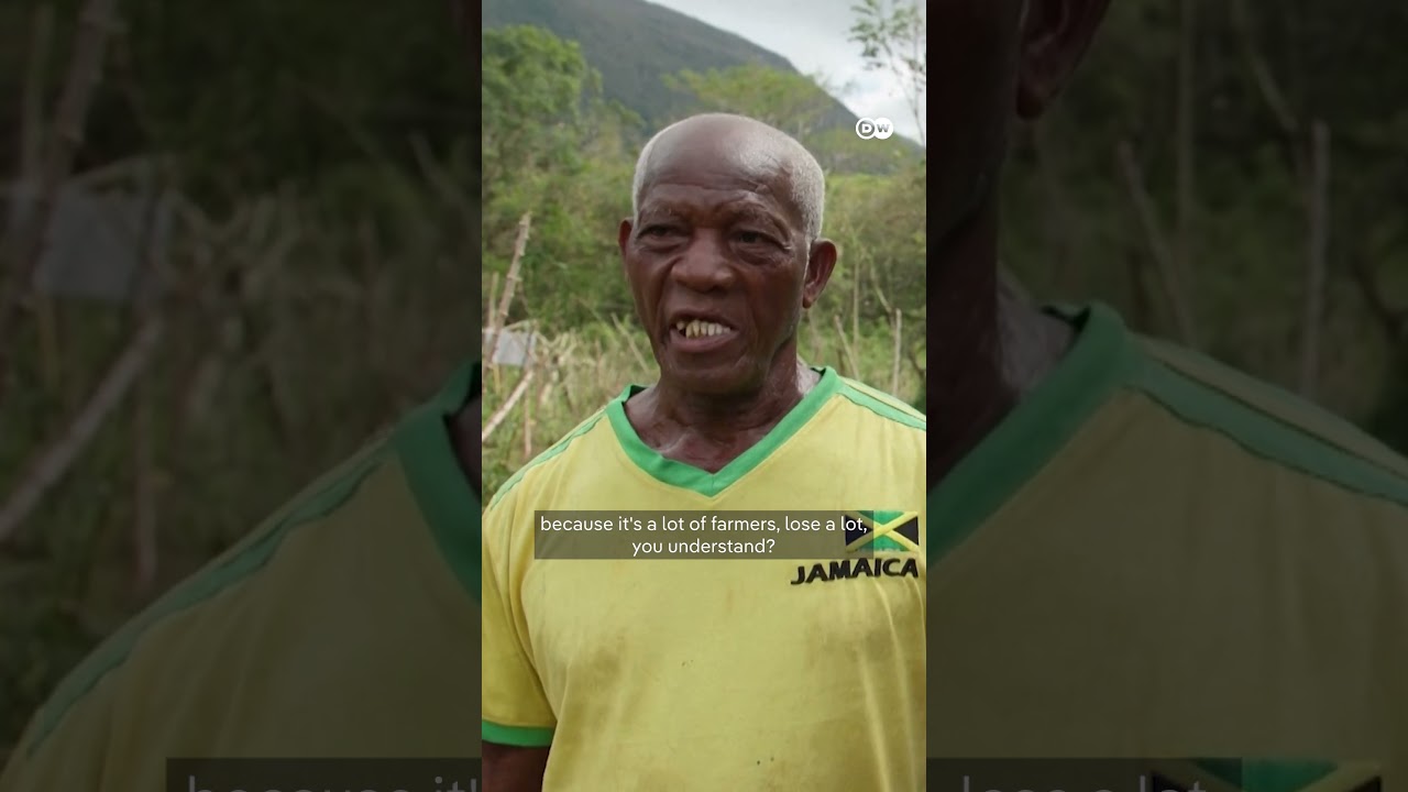 Jamaica assesses damage after Hurricane Melissa | DW News - World News