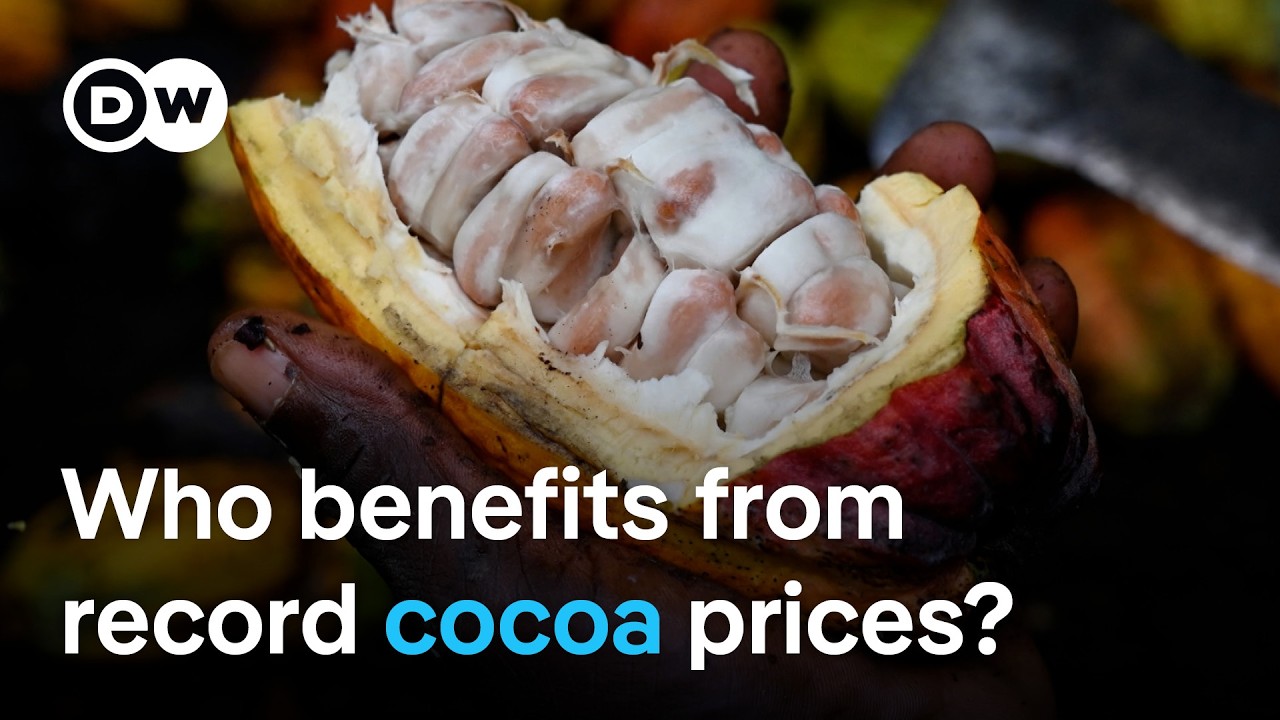 Why cocoa farmers don't profit from record prices for chocolate | DW ...
