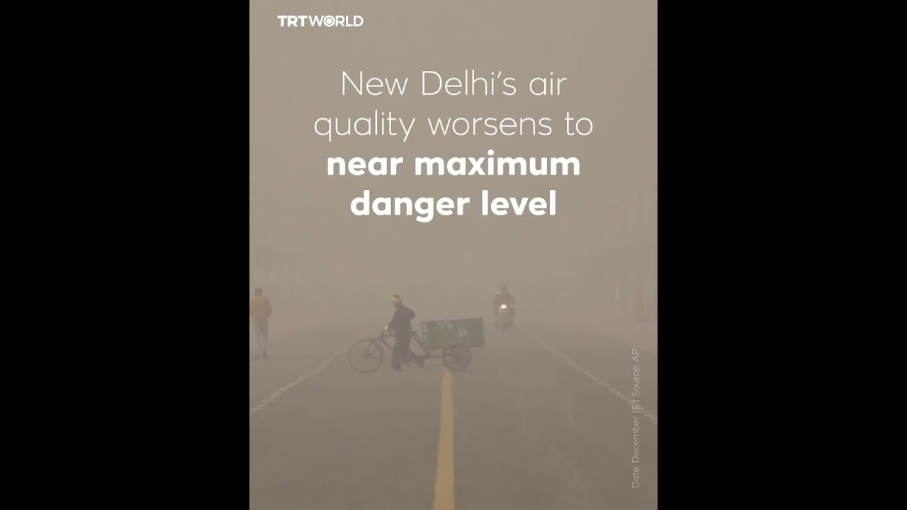 Toxic smog has blanketed India’s capital - World News