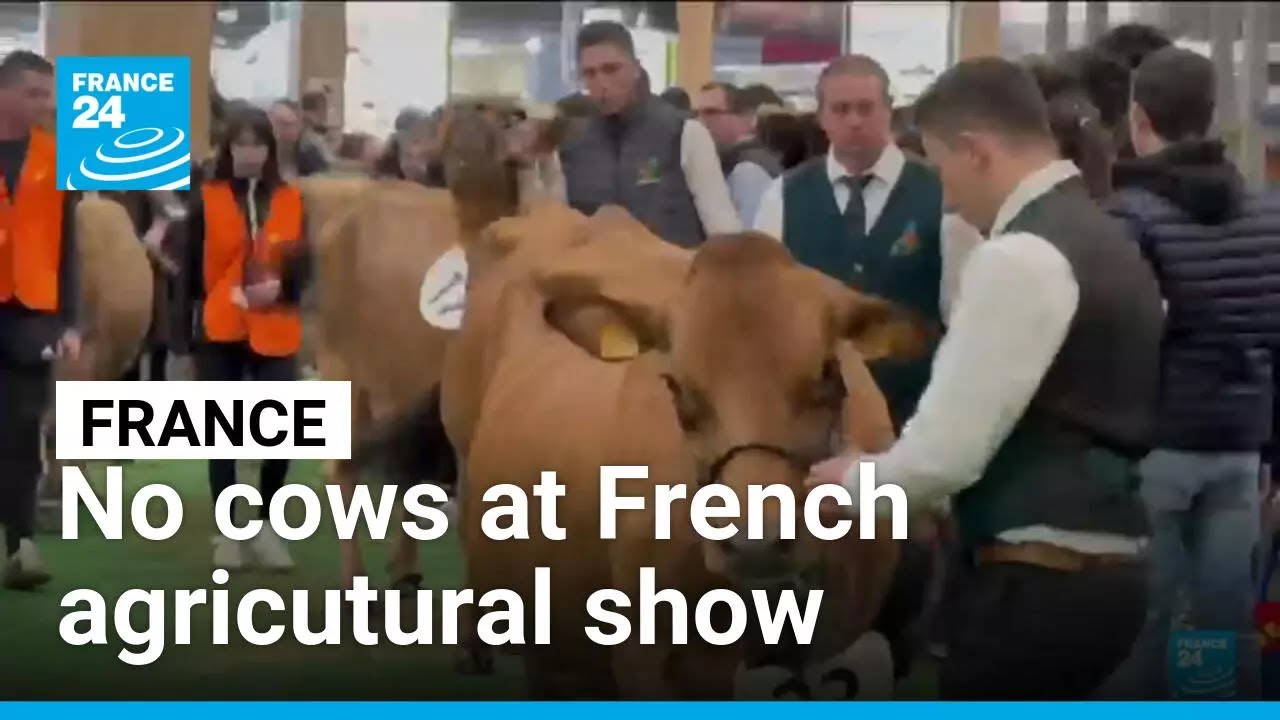 No cows allowed at French agricutural show • FRANCE 24 English - World News