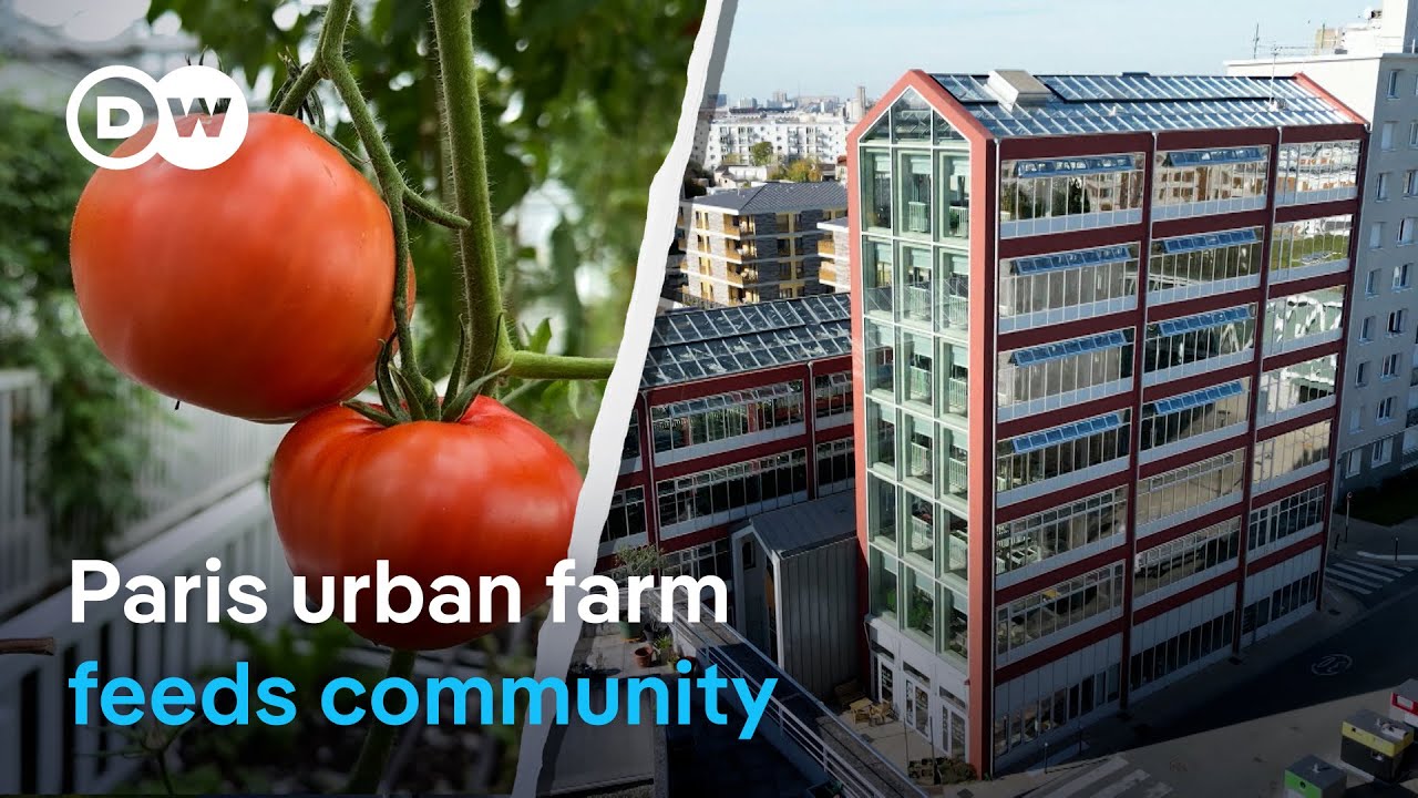 Paris urban farm feeds the city, and its community spirit | DW News ...