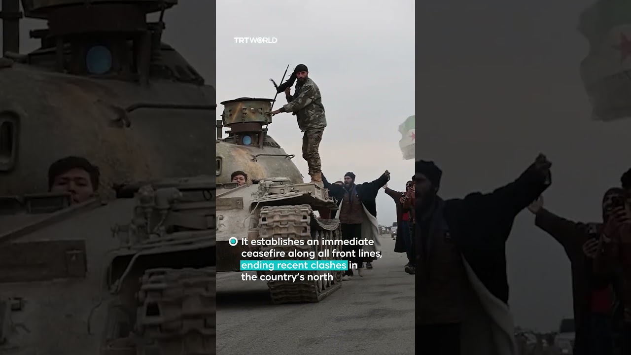 What does the new Syria ceasefire include? - World News