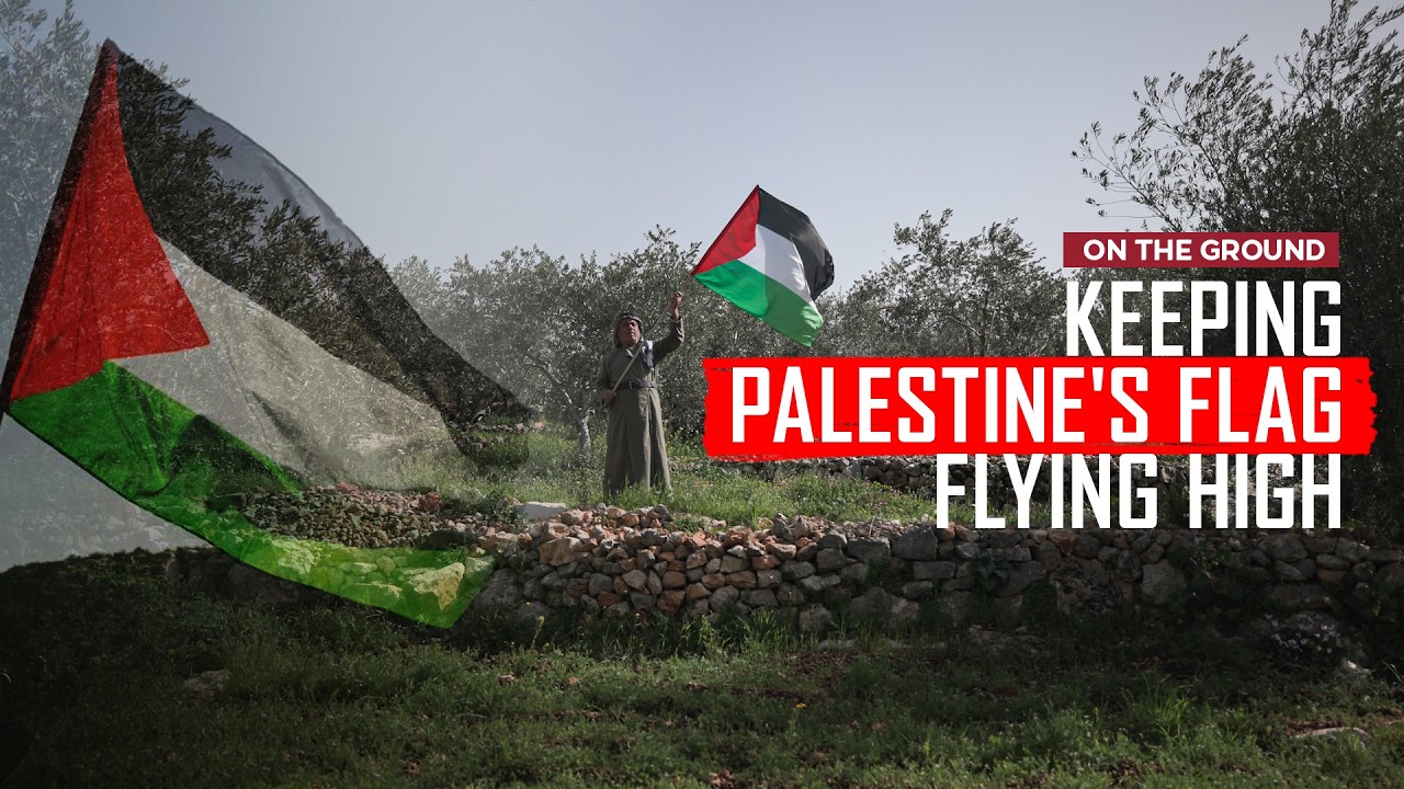 Raising Palestine's flag in the face of occupation - World News