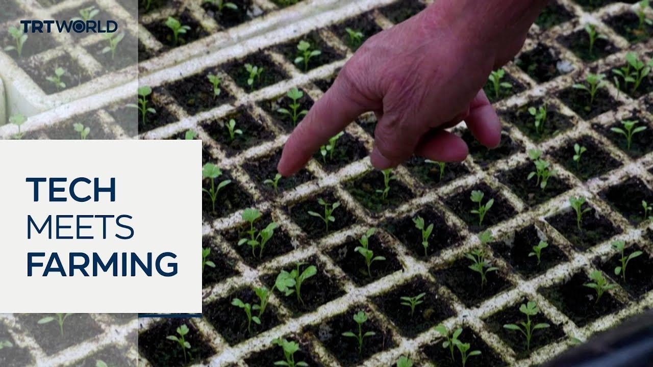 Smart farming reshapes life for disabled farmer in China - World News