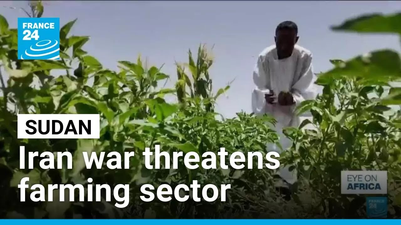 Iran war threatens Sudan's already fragile agricultural sector • FRANCE ...